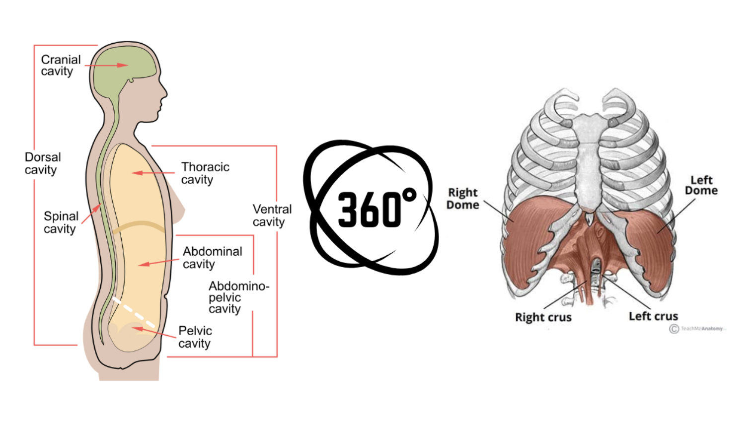 Breathing Techniques for Soccer Players: A Full Guide