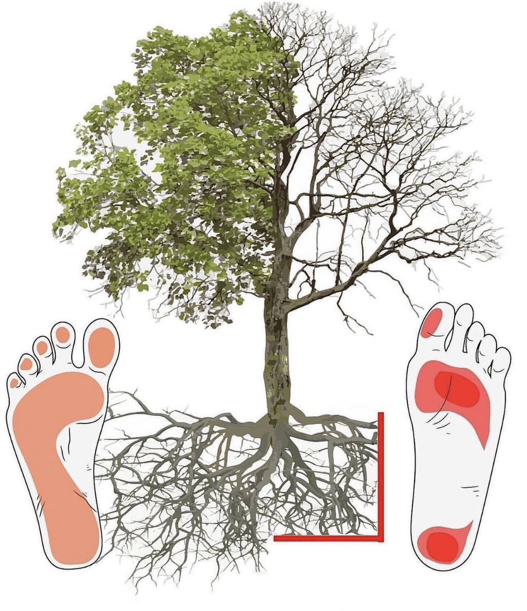 13 Proven Tips on Proper Foot Care for Soccer Players